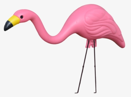 Flamingo Beak Pattern , Free Transparent Clipart - ClipartKey