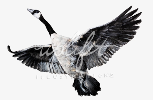 Canada Goose Logo Official - Logo Canada Goose , Free Transparent ...