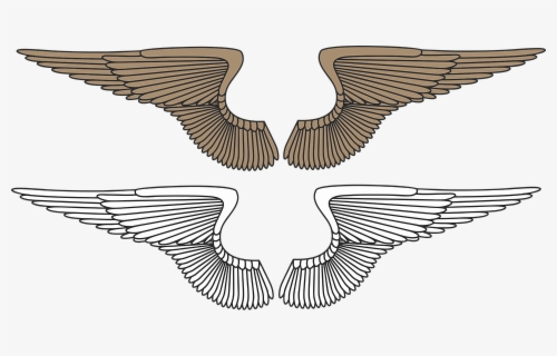 Eagle Clipart Vector - Logo Elang Mengepakan Sayap , Free Transparent ...