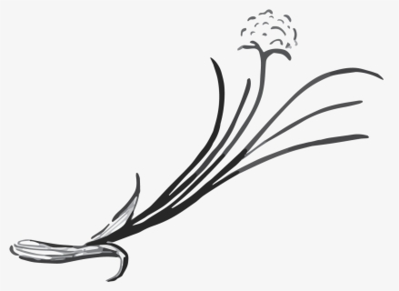 Clip Art Chive Picture - Chive Logo Png , Free Transparent Clipart ...