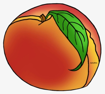 South Carolina State Fruit , Free Transparent Clipart - ClipartKey