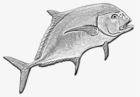 Red Fish Png Clip Art - Ikan Kakap Vector , Free Transparent Clipart ...