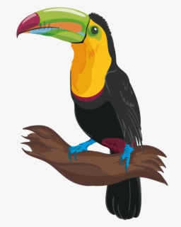 Transparent Tropical Birds Clipart - Kawaii Birds , Free Transparent ...