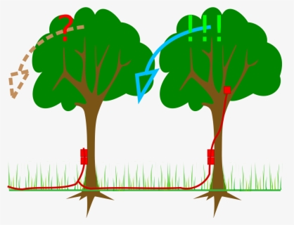 Timber Falling - Clip Art , Free Transparent Clipart - ClipartKey