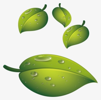 Drip Transparent Dew Drops Clipart , Png Download - Illustration , Free ...