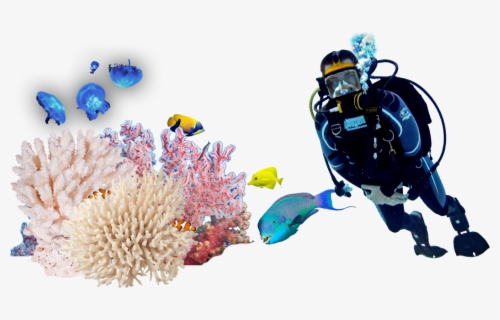 Free Underwater Background Clip Art with No Background - ClipartKey