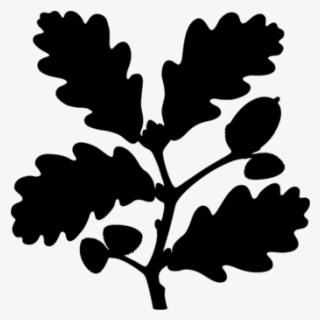 National Trust Logo , Free Transparent Clipart - ClipartKey