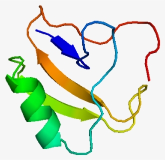 Scorpion Alpha Toxin Structure , Free Transparent Clipart - ClipartKey