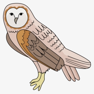 Screech Owl , Free Transparent Clipart - ClipartKey