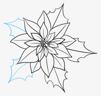How To Draw A Poinsettia - Poinsettia Flower Drawing , Free Transparent ...