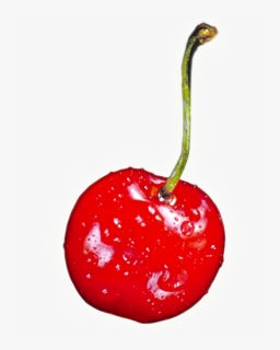Unique Cherry Clipart Single - Cherry Clip Art , Free Transparent ...
