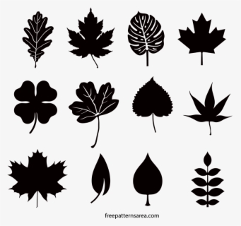 Cute Leaf Shapes Png Clip Art - Thanksgiving Leaves Cute , Free ...