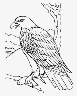Hawk Clipart Agila - Eagle Emoji Hd , Free Transparent Clipart - ClipartKey
