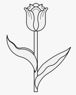 Tulip Traceable Flower , Free Transparent Clipart - ClipartKey