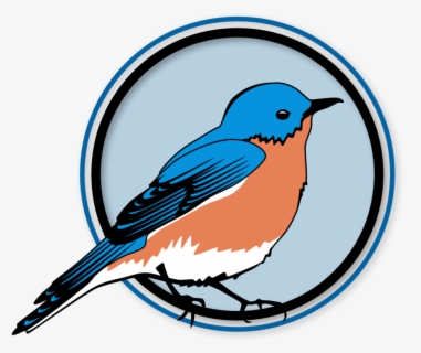 Eastern Bluebird - Blue Bird Transparent Background , Free Transparent ...