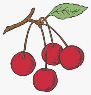 Cherries Png Clipart - 3 Cherries Png , Free Transparent Clipart ...