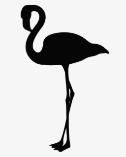 Flamingo Beak Pattern , Free Transparent Clipart - ClipartKey