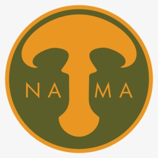 Nama - Adobe Animate Logo Png , Free Transparent Clipart - ClipartKey