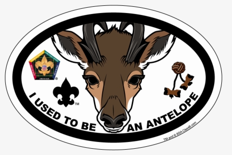 Download Wood Badge Critters Clip Art - Wood Badge Critters Eagle ...