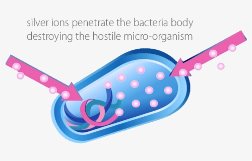 Germ Clipart Soil Bacteria - Mastitis Cartoon , Free Transparent ...