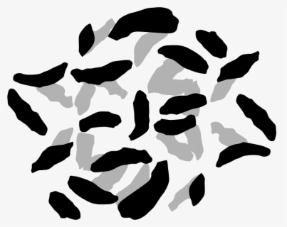 Mice Feces Mice Poop , Free Transparent Clipart - ClipartKey