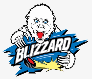 Blizzard Logo Png - Blizzard Entertainment Logo Transparent , Free ...