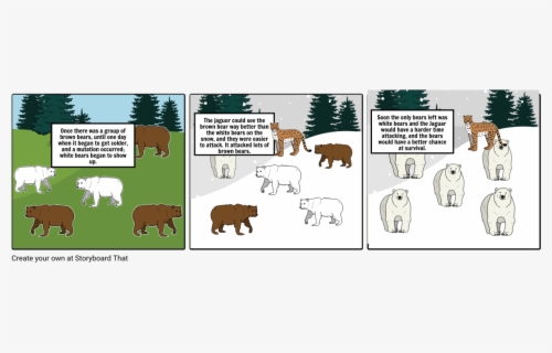 Brown Bear Natural Selection , Free Transparent Clipart - ClipartKey