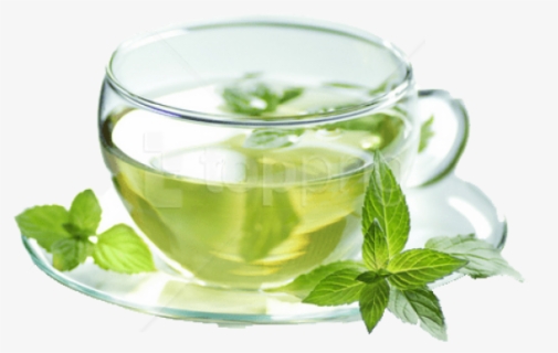 Green Tea Png Transparent Image - Transparent Background Green Tea Png ...