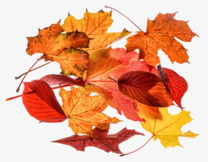 Fall Break Png - Fall Leaves Corner Png Transparent , Free Transparent ...