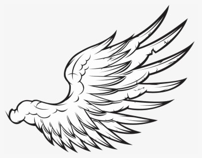 Download Vector Sayap Png Dan Cdr - Illustration , Free Transparent ...