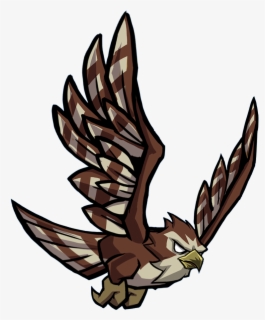 Hawk Clipart Face - Hawk Eyes Logo , Free Transparent Clipart - ClipartKey