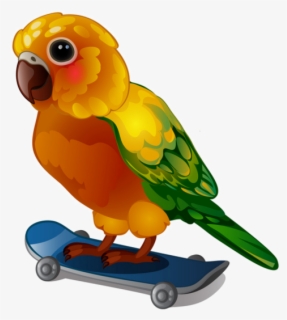 Sun Conure , Free Transparent Clipart - ClipartKey