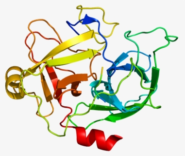 Protein Svg , Free Transparent Clipart - ClipartKey