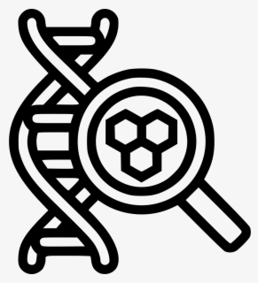 Dna Magnifying Glass Icon , Free Transparent Clipart - ClipartKey