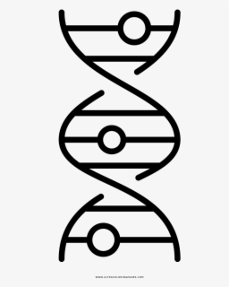 Dna Strand Coloring Page - Dibujos De Adn Para Colorear , Free ...