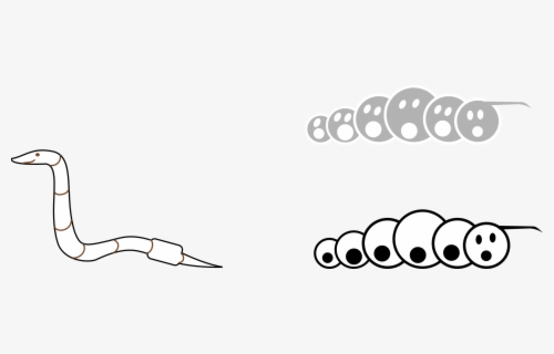 Free Worm Black And White Clip Art with No Background - ClipartKey