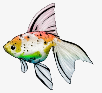 Free Rainbow Fish Clip Art with No Background - ClipartKey