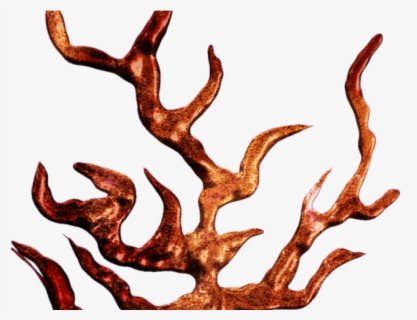 Coral Tree Cliparts - Transparent Background Coral Clip Art , Free ...