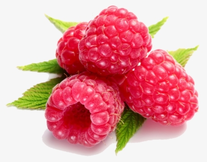 Free Raspberry Clip Art with No Background - ClipartKey