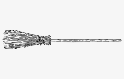 Broom Buckwheat - Drawing , Free Transparent Clipart - ClipartKey