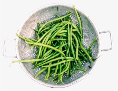 Cute Green Bean Clipart - Cartoon Green Bean Clipart , Free Transparent ...