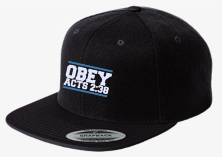 Transparent Yankees Hat Png - Bronze Hammerhead Shark , Free ...