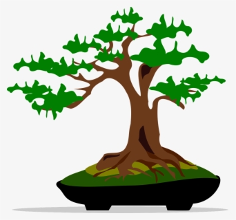 Bonsai Clipart Narra Tree - Portable Network Graphics , Free ...