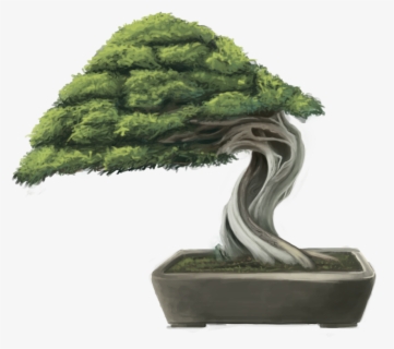 Bonsai Clipart Narra Tree - Portable Network Graphics , Free ...