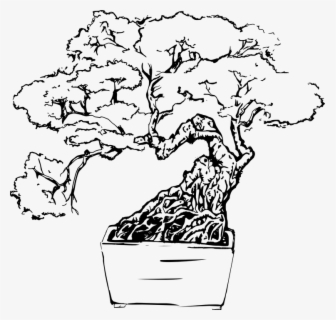 Bonsai Clipart Narra Tree - Portable Network Graphics , Free ...