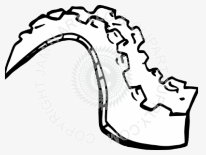 Tail Clipart Alligator - Alligator Tail Clipart , Free Transparent ...
