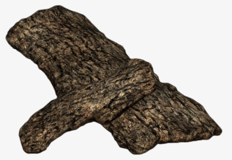 Oak Tree Bark Png , Free Transparent Clipart - ClipartKey