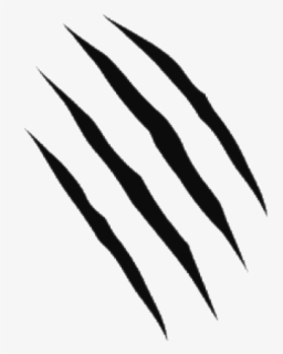 Slash Cliparts - Sketch , Free Transparent Clipart - ClipartKey