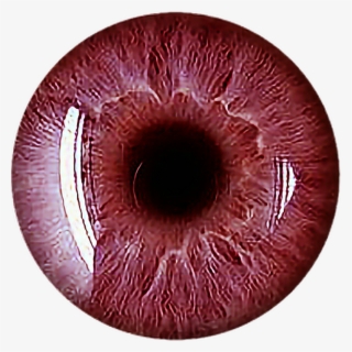 Transparent Scary Eye Clipart - Red Pupil Png , Free Transparent ...