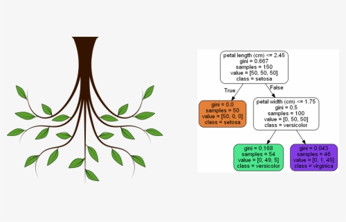 Scikit Learn Decision Tree , Free Transparent Clipart - ClipartKey
